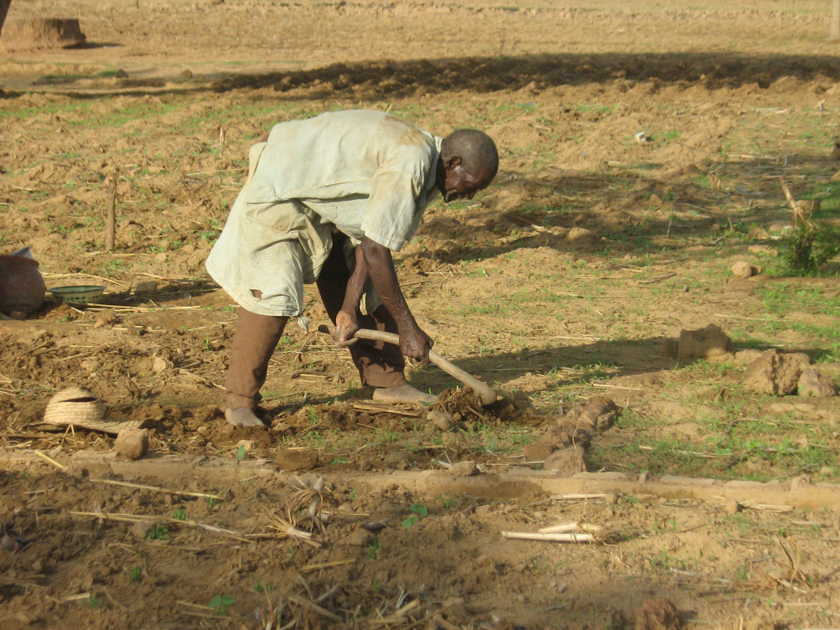 Zambia declares national disaster after drought devastates agriculture ...